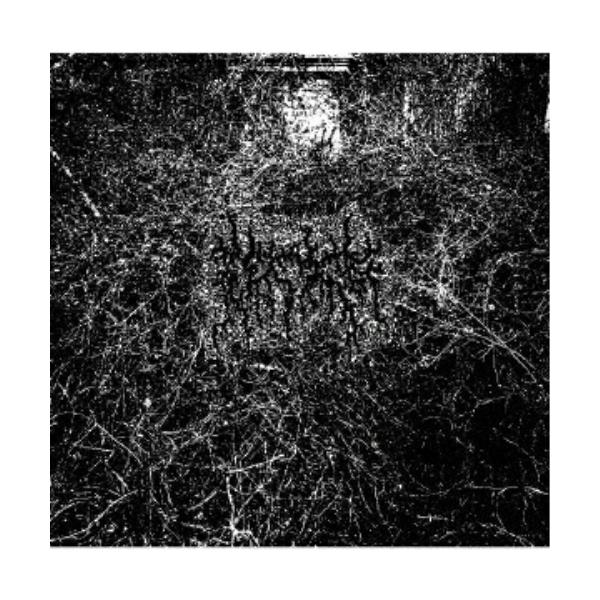 【発売日：2025年12月17日】ARID (アリッド ありっど)2025年12月17日 発売CD:11.Beyond These Rusted Gates Dream the Revenge of the Victims I Have S...