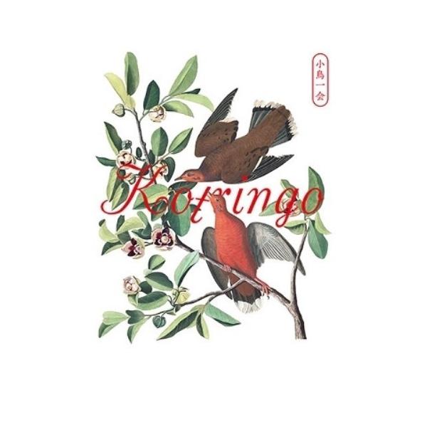 【発売日：2021年03月31日】コトリンゴ (ことりんご)2021年3月31日 発売DVD:11.雨あがる2.漂う感情3.にちよ待ち4.hoshikuzu5.友達になれるかな?6.Preamble7.To do8.chocolate9.S...