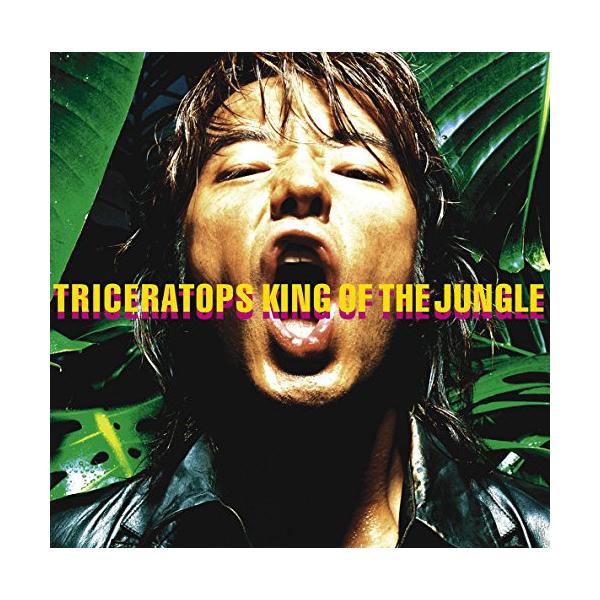 【発売日：2016年08月24日】TRICERATOPS (トライセラトップス とらいせらとっぷす)2016年8月24日 発売2017年にメジャーデビュー20周年を迎えるトライセラトップス。前作アルバムで大ブレイクを果たし、約1年半掛けてリ...