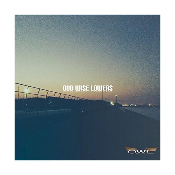 【発売日：2015年04月22日】O.W.L (オーダブリューエル おーだぶりゅーえる)2015年4月22日 発売長年千葉を基盤に活動してきたDIEZEL、PLATINUM、Coda、MIGALSKIE、D?SKIN、Y氏、DJ Yakoと...