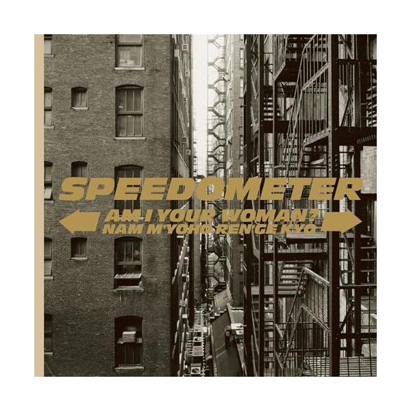 【発売日：2025年07月02日】スピードメーター (すぴーどめーたー)2025年7月2日 発売UKを代表するジャズ・ファンク・バンド、スピードメーターが、ビヨンセ「Crazy In Love」の元ネタとしても有名なチャイ・ライツ「Are ...