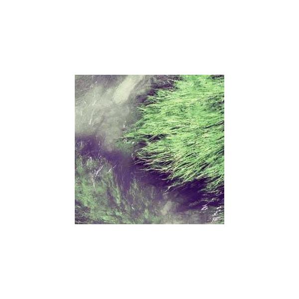 【発売日：2013年01月23日】オン・アン・オン (オンアンオン おんあんおん)2013年1月23日 発売人気海外ドラマ『グレイズ・アナトミー』にリード楽曲「Ghosts」が使用されるなど活躍が期待されるバンド、オン・アン・オンがCDをリ...