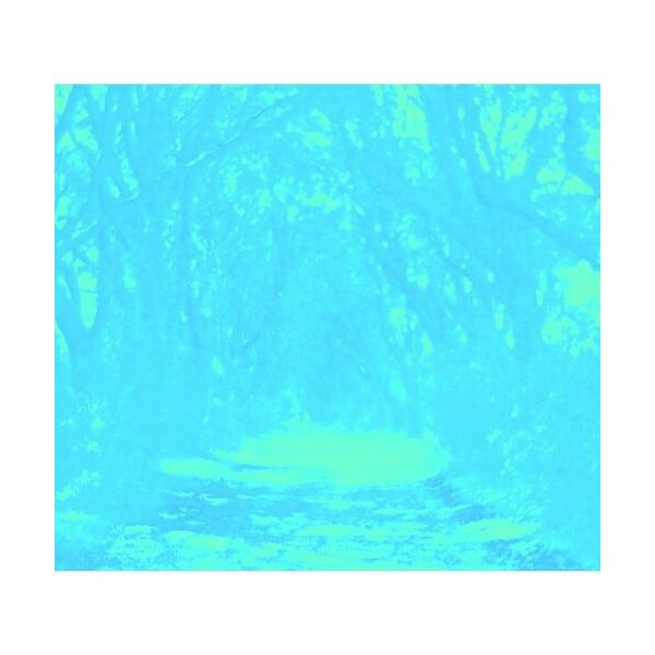 【発売日：2012年06月20日】ファクトリー・フロア (ファクトリーフロア ふぁくとりーふろあ)2012年6月20日 発売デビュー前にも関わらず大型フェスに出演が決定している3人組ロックバンド、ファクトリー・フロアのファースト・アルバム。...