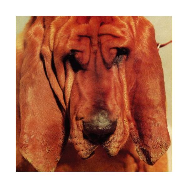 【発売日：2011年06月22日】タイ・セガール (セガール タイ せがーる たい)2011年6月22日 発売CD:11.Goodbye Bread2.California Commercial3.Comfortable Home(A Tr...