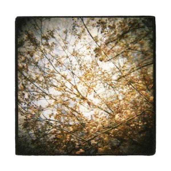 【発売日：2010年05月19日】ホース・フェザーズ (ホースフェザーズ ほーすふぇざーず)2010年5月19日 発売CD:11.thistled spring2.starving robins3.belly of june4.cascad...