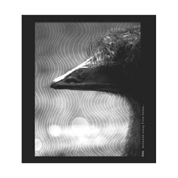 【発売日：2009年07月02日】RdL (リドル りどる)2009年7月2日 発売CD:11.beneath the cold2.home3.black jungle4.roah5.mn16.code song7.autumn8.shor...