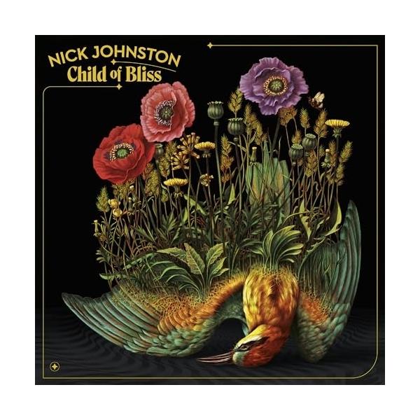 【発売日：2024年03月08日】ニック・ジョンストン (ジョンストン ニック じょんすとん にっく)2024年3月8日 発売Polyphia、Intervalsらのアルバムへの参加や自身の楽曲にPaul Gilbert、Guthrie G...