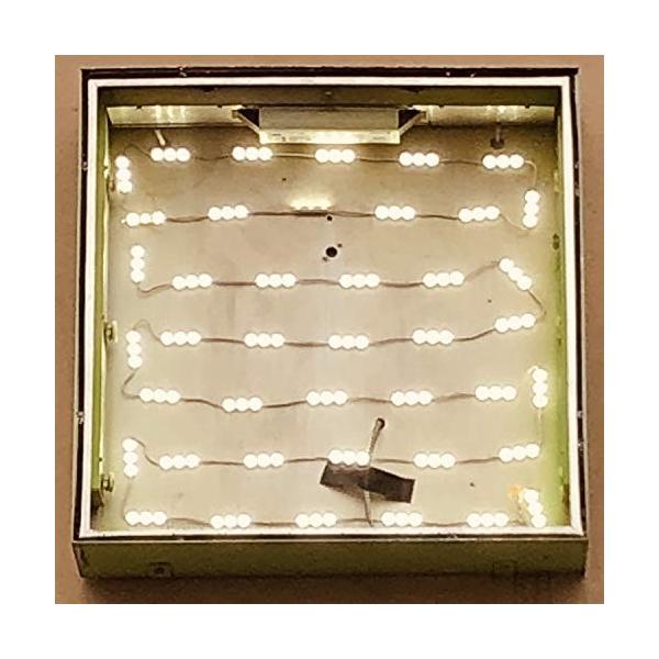 【発売日：2019年08月16日】オソ・オソ (オソオソ おそおそ)2019年8月16日 発売USインディー・シーン重要レーベル"Triple Crown Records"が放つオルタナ・エモ随一の極上メロディ・メーカー"オソ・オソ"待望の...