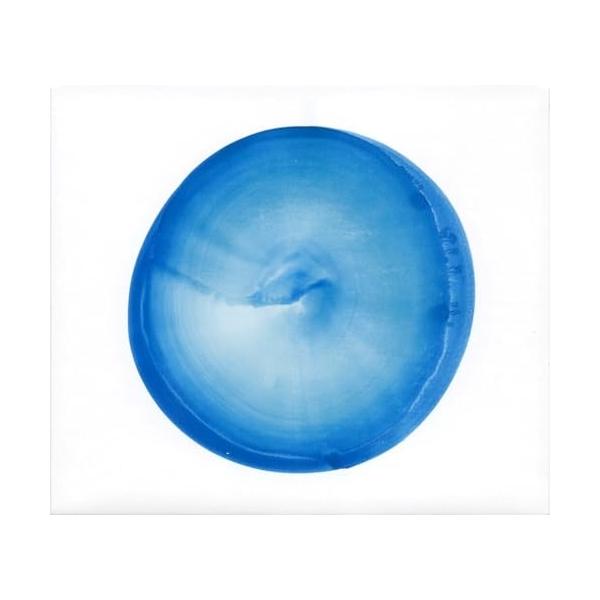 【発売日：2024年07月24日】FISHMANS (フィッシュマンズ ふぃっしゅまんず)2024年7月24日 発売メーカーの枠を超えて制作されたフィッシュマンズの人気ベストをアナログ化!2005年にポニーキャニオンとユニバーサルミュージッ...