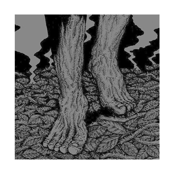 【発売日：2014年10月08日】THORN (ソーン そーん)2014年10月8日 発売結成10周年(2014年時)を迎えたTHORNの集大成とも言えるサード・アルバム。ヘビーなサウンドの基盤こそ変わらないものの、全編日本語詩のストレート...