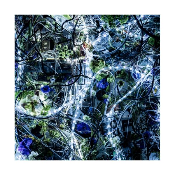 【発売日：2016年05月11日】Aimer (エメ えめ)2016年5月11日 発売Aimer(エメ)の通算9枚目にして、2016年最初のシングル。表題曲「ninelie(読み:ナインリィ)」は、同年4月より放送の”ノイタミナ”アニメ『甲...