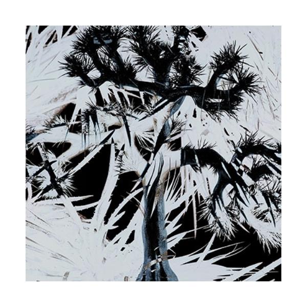 【発売日：2024年05月29日】Plastic Tree (プラスティックトゥリー ぷらすてぃっくとぅりー)2024年5月29日 発売およそ4年振りのアルバムは、バンド名を冠したセルフタイトル!2023年リリースのシングル「痣花」「ざわめ...