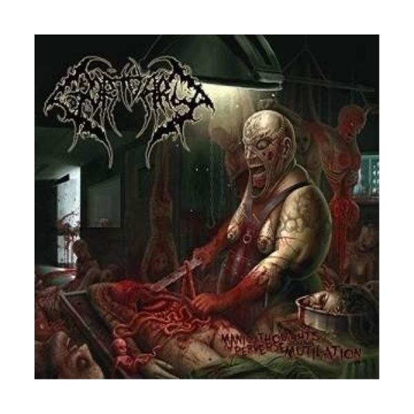 【発売日：2012年12月19日】ベルベット (べるべっと)2012年12月19日 発売CD:11.マホロバ2.S.S.SDVD:21.SPLIT TOUR 2012 DOCUMENT CLIPS