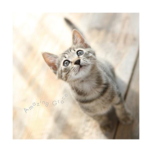 【発売日：2016年01月27日】クラシック (シャンティクリア、イヴェット・A.フランダー主教、ジョゼフ・ジェニングス、ジョエル・コーエン、ボストン・カメラータ、ストレート・ノー・チェイサー)2016年1月27日 発売”まるごと!クラシッ...