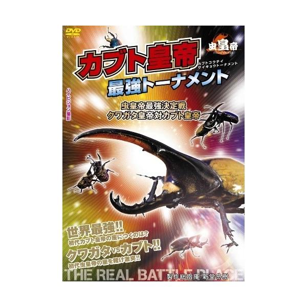 【発売日：2009年12月16日】キッズ2009年12月16日 発売