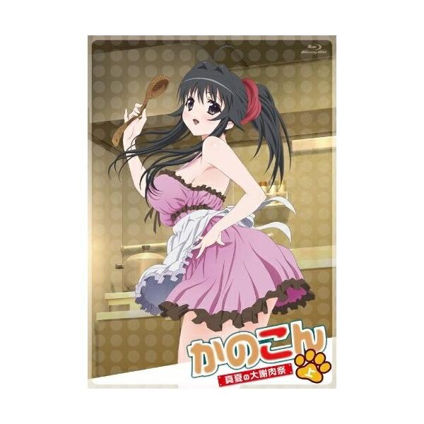 【発売日：2009年11月25日】OVA (西野かつみ、能登麻美子、川澄綾子、竹内美優、高見明男、伊藤毅)2009年11月25日 発売