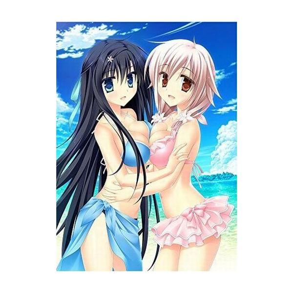 商品名：中古PSVITAソフト PriministAr -プライミニスター- [完全生産限定版]EGCS-00003春の盛り、麗かな午後。 粟生七舟学園は新入生部員勧誘会を終え、にわかに活気付いていた。そして学園の一角にある通称 『文化部棟...