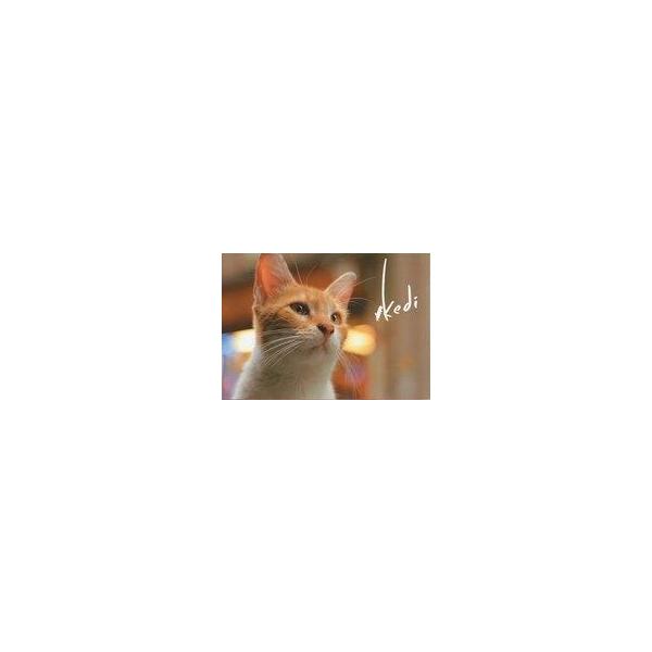 商品名：中古その他DVD 猫が教えてくれたこと [初回限定版]PCBE-55859■特典・スリーブケース・ブックレット(36P)used0130_dvd