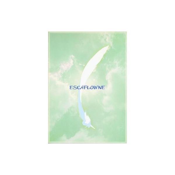 商品名：中古パンフレット ≪パンフレット≫ パンフレット ESCAFLOWNE16ページ仕様/劇場版 天空のエスカフローネ