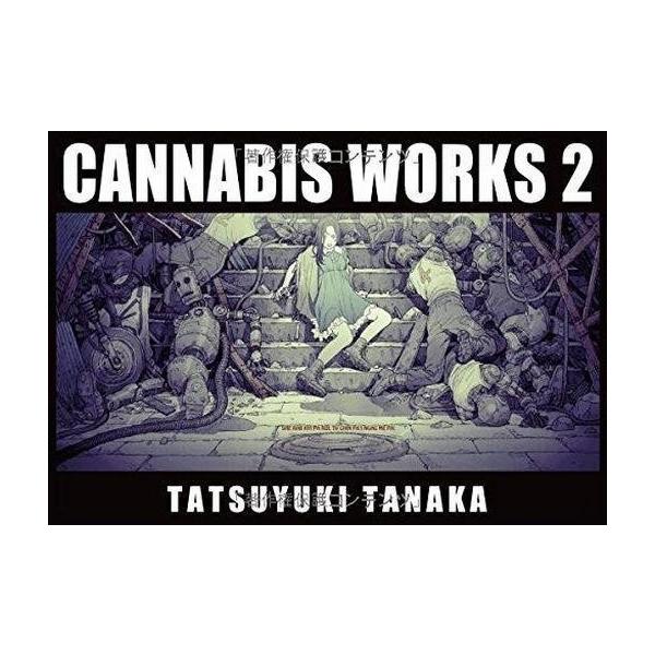 商品名：中古アニメムック ≪イラスト画集≫ 田中達之作品集 CANNABIS WORKS 2160ページ仕様