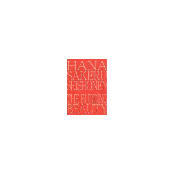商品名：中古販促品 販促冊子)HANASAKERU SEISYONEN THE BUDDING BEAUTY販促品/4ページ仕様/舞台 花咲ける青少年 〜The Budding Beauty〜