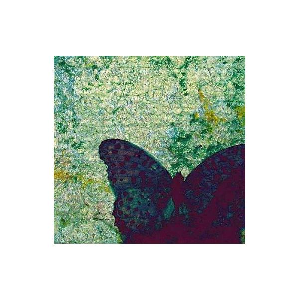 商品名：中古同人音楽CDソフト PANGEA / Neo Classica ASCendantNeo Classica ASCendantNCA-002メディア：プレスCD