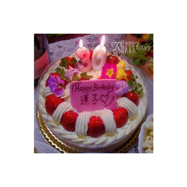 商品名：中古同人音楽CDソフト Happy Birthday Renko[冊子無] / 15691569EXE-002メディア：プリントCD-R 東方系同人音楽CD。※こちらの商品は、音楽CDのみです。冊子等は付属致しません。