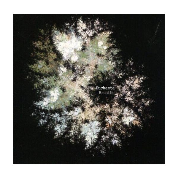 商品名：中古同人音楽CDソフト Breathe / EuchaetaEuchaetaMCHR-0007メディア：プレスCD 01.Oxygen02.We Breathe Thin Air03.The Air Real04.I Sink Th...