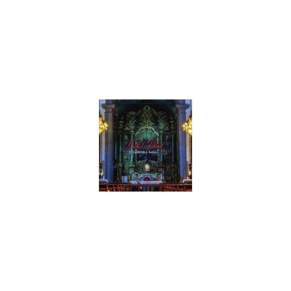 商品名：中古同人音楽CDソフト Brutal blast / 埼玉最終兵器＆Aether埼玉最終兵器＆AetherSHAT-0013メディア：プレスCD東方系同人音楽CD。01. 山奥のエンカウンター 東方天空璋 〜 Hidden Star...