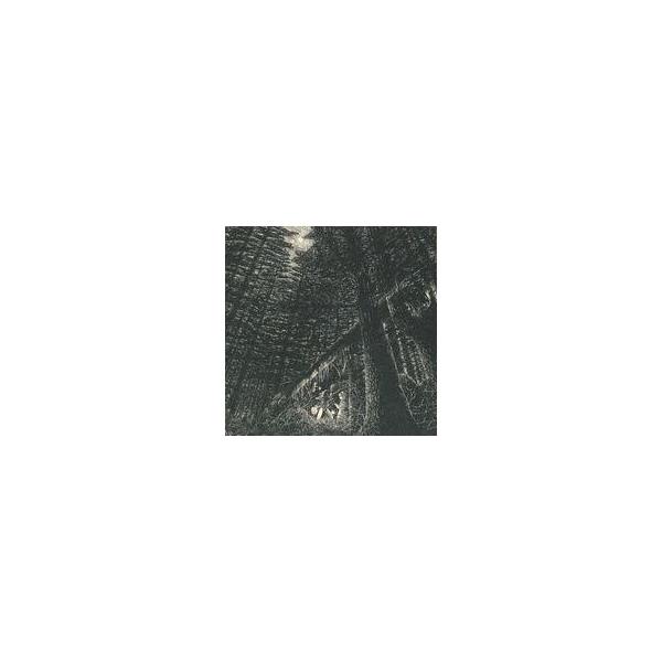 商品名：中古同人音楽CDソフト Zauberwald / ごんばこんなかごんばこんなかGBCD-0053メディア：プレスCD東方系同人音楽CD。01 All in the Sepia Daydream (不思議の国のアリス)02 The S...