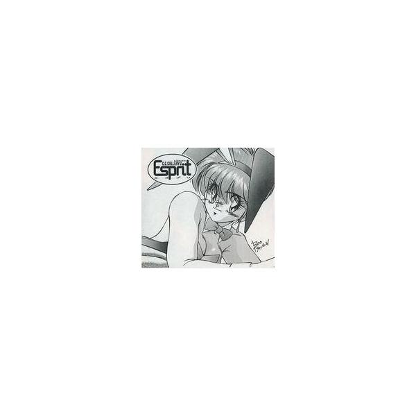 商品名：中古同人CG 5インチFDソフト Esprit -エスプリ- / Team Z＆3NTeam Z＆3Nメディア：5インチFD+3.5インチFD OS：PC-9801VM以降/X68000シリーズTeam Z＆3N C.G.GALLERY2