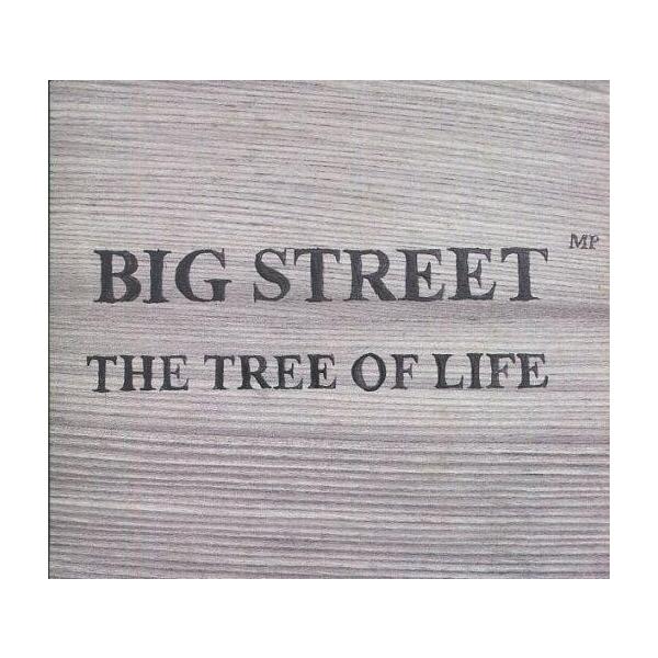 商品名：中古輸入洋楽CD BIG STREET MP / THE TREE OF LIFE[輸入盤]EZRA7722used0130_cd