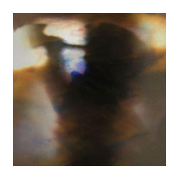 商品名：中古輸入洋楽CD ANIMAL COLLECTIVE / FALL BE KIND[輸入盤]DNO246こちらの商品は、紙ジャケット仕様、スリーブ付きになります。used0130_cd