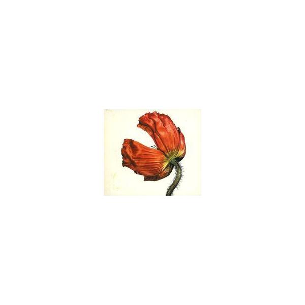 商品名：中古輸入洋楽CD PET SHOP BOYS / RELEASE (SPECIAL EDITION)[輸入盤]724354148606[商品仕様]・CD2枚組み・スリーブ付き・BONUS DISCトラックリスト付きused0130_cd