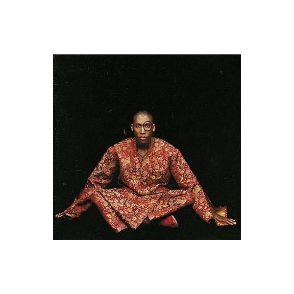 商品名：中古輸入その他CD RAPHAEL SAADIQ / INSTANT VINTAGE[輸入盤]440016654-2used0130_cd