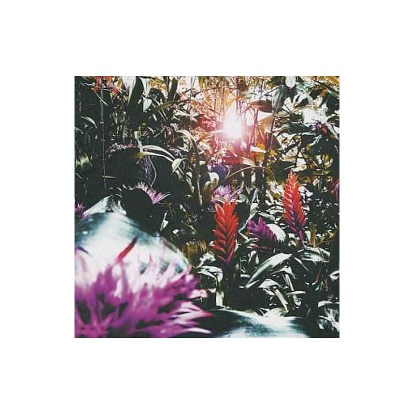 商品名：中古邦楽CD La’cryma Christi / DEEP SPACE SYNDICATEUMCE-8001(1)intro(2)Mystical Glider(ALBUM MIX)(3)GROOVE WEAPON(ALBUM M...