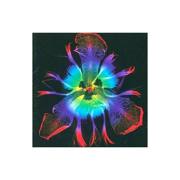 商品名：中古邦楽CD Pierrot / DICTATORS CIRCUS 〜奇術的旋律〜[DVD付初回限定盤]UPCH-9128こちらの商品は、2枚組み(CD+DVD)になります。used0130_cd