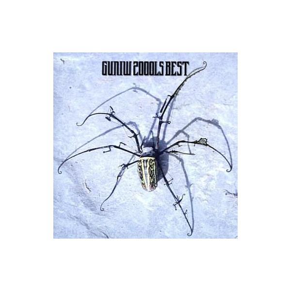商品名：中古邦楽CD GUNIW TOOLS / GUNIW 2000Ls BESTVICL-60655[1](1)頭上の石(2)Either Wise or Fool(3)傘さす事の歓び(4)FANCY PINK(5)未練は思い上がり(6...