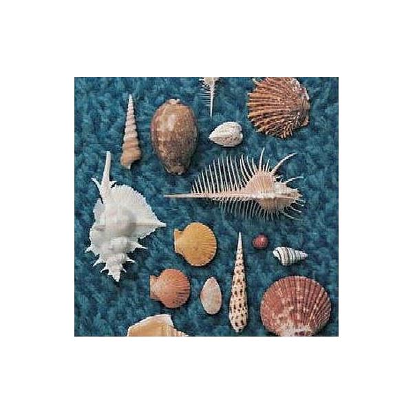 商品名：中古邦楽CD スピッツ / CYCLE HIT 1991-1997 Spitz Complete Single CollectionUPCH-1481(1)ヒバリのこころ(2)夏の魔物(3)魔女旅に出る(4)惑星のかけら(5)日なた...