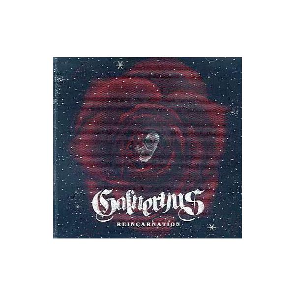 商品名：中古邦楽CD GALNERYUS / REINCARNATIONVPCC-81610(1)終わりなき,この詩(2)BLAST OF HELL(3)BLAME YOURSELF(4)SHINING MOMENTS(5)AGAINTS ...