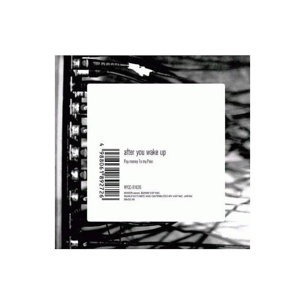 商品名：中古邦楽CD Pay money To my Pain / after you wake upVPCC-81626(1)Here I'm singing(2)Position(3)Lost the voice(4)Price to ...