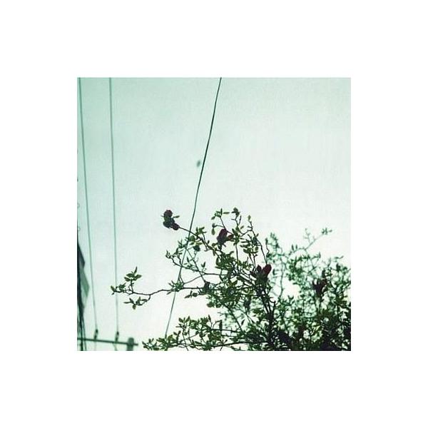 商品名：中古邦楽CD クリープハイプ / 待ちくたびれて朝がくるPRM-8(1)あの嫌いのうた(2)欠伸(3)バブル,弾ける(4)愛は(5)グレーマンのせいにする(6)グルグル(7)ウワノソラused0130_cd