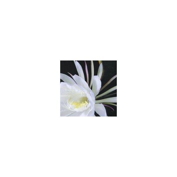 商品名：中古邦楽CD postman / Night bloomerRX-157(1)(A)throb(2)Flying wild dance(3)紫陽花(4)ありふれた幸せ(5)夢と夢(6)interlude〜開花〜(7)夜明けを待たずに...