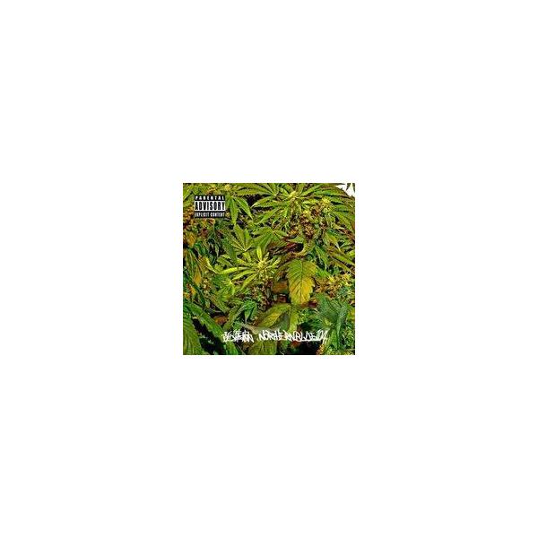 商品名：中古邦楽CD 舐達麻 / NORTHERNBLUE1.0.4AGH-001(1)ESTETIKA(2)PotHead(3)frequencies(4)RokudenashiBLUES(5)HOTTOWNANTHEM(feat.MUS...