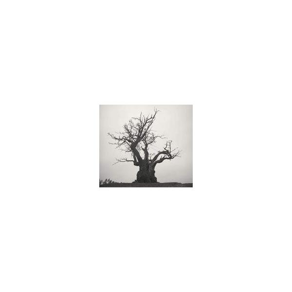 商品名：中古邦楽CD SEKAI NO OWARI / SEKAI NO OWARI 2010-2019[通常盤]TFCC-86713こちらの商品は、CD2枚組み、歌詞ブックレット付きになります。used0130_cd