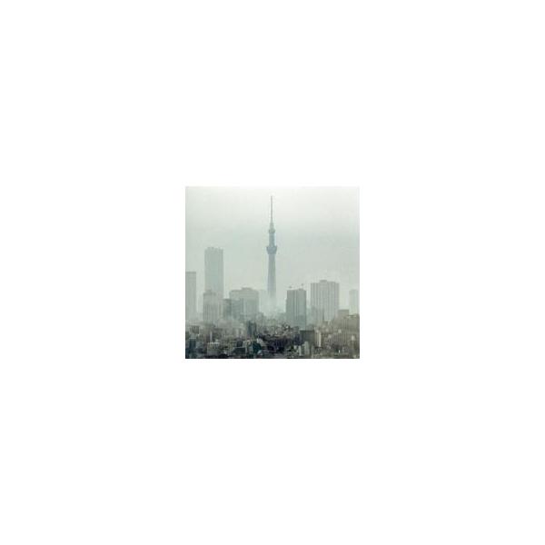 商品名：中古邦楽CD 大嶋啓之 / epitaphPVCD-0005used0130_cd
