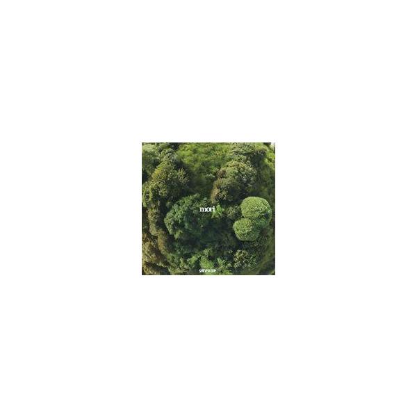 商品名：中古邦楽CD SHE’ll SLEEP / moriTNAD-0159(1)19(2)変わらないもの(3)Lights(4)ライアー(5)A.R.T(6)最終回(7)いえない(8)次の街まで(9)Edge(10)遠くない春にused...