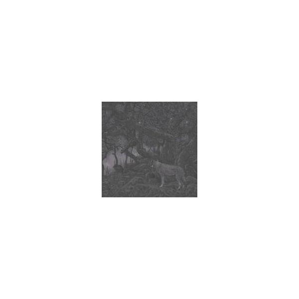 商品名：中古邦楽CD 秘めごと / くろいもり[初回生産限定盤]LAMR-5044こちらの商品は、絵本仕様になります。used0130_cd