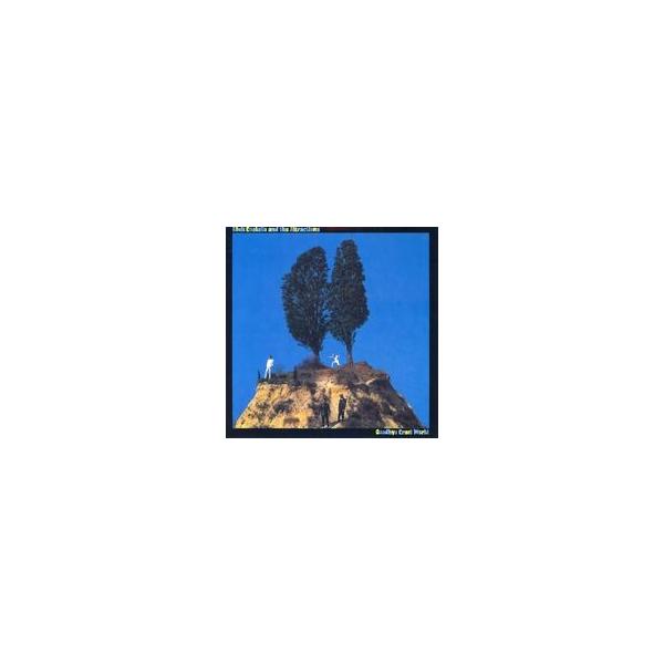 商品名：中古洋楽CD エルヴィス・コステロ/グッバイ・クルエル・ワールドVICP-62509(1)ジ・オンリー・フレイム・イン・タウン(2)ホーム・トゥルース(3)ルーム・ウィズ・ノー・ナンバー(4)インチ・バイ・インチ(5)ウォースレス・...