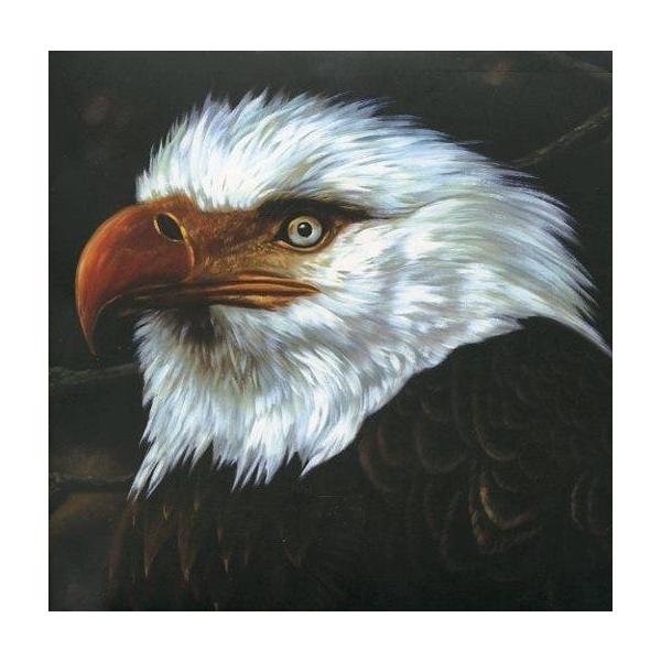 商品名：中古洋楽CD モグワイ / ザ・ホーク・イズ・ハウリング[DVD付]HSE-30201[1](1)I'M JIM MORRISON,I'M DEAD(2)BATCAT(3)DANPHE AND THE BRAIN(4)LOCAL A...